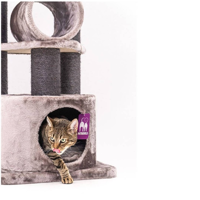 Petrebels Victoria 125